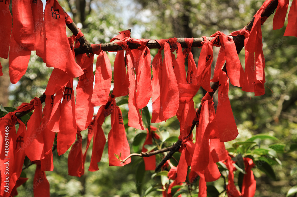 Foto de Chinese ritual: collection of red ribbons tied in tree for good ...