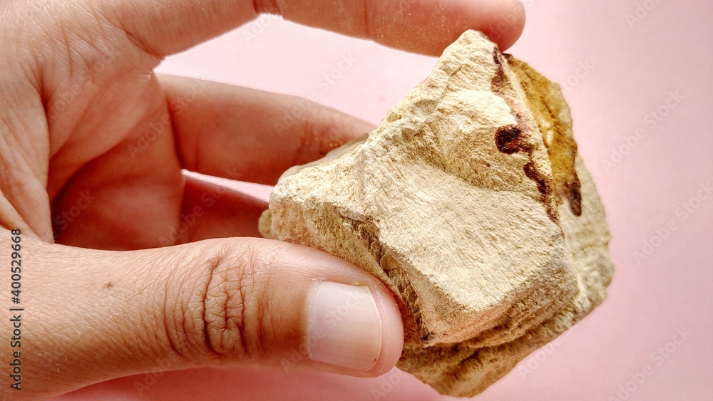 Foto de Yellow fine grained calcarenite, this sample comes from the ...