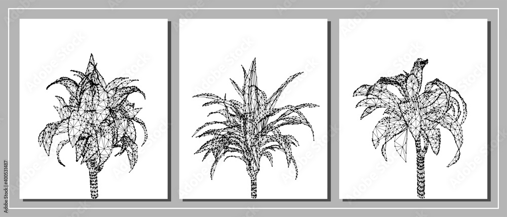 Vector set of wireframe dracaena isolated on white background. Detailed ...