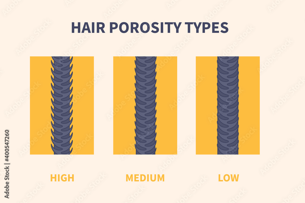 Hair porosity types classification set. Strand with low, normal and ...