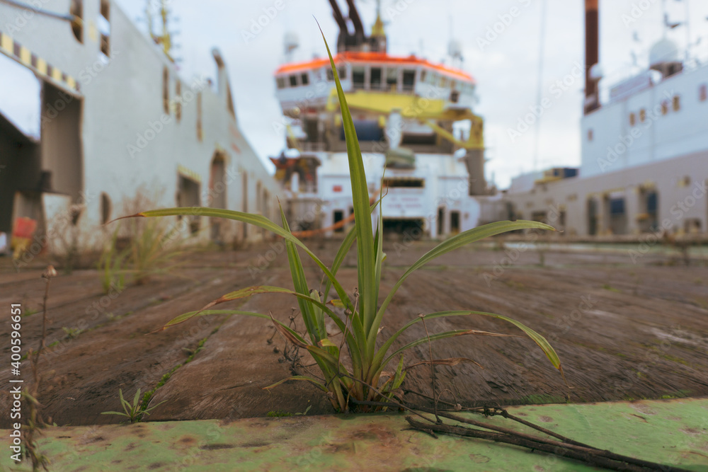 Deck of laid up anchor handling vessel. Grass growing on deck of laid ...