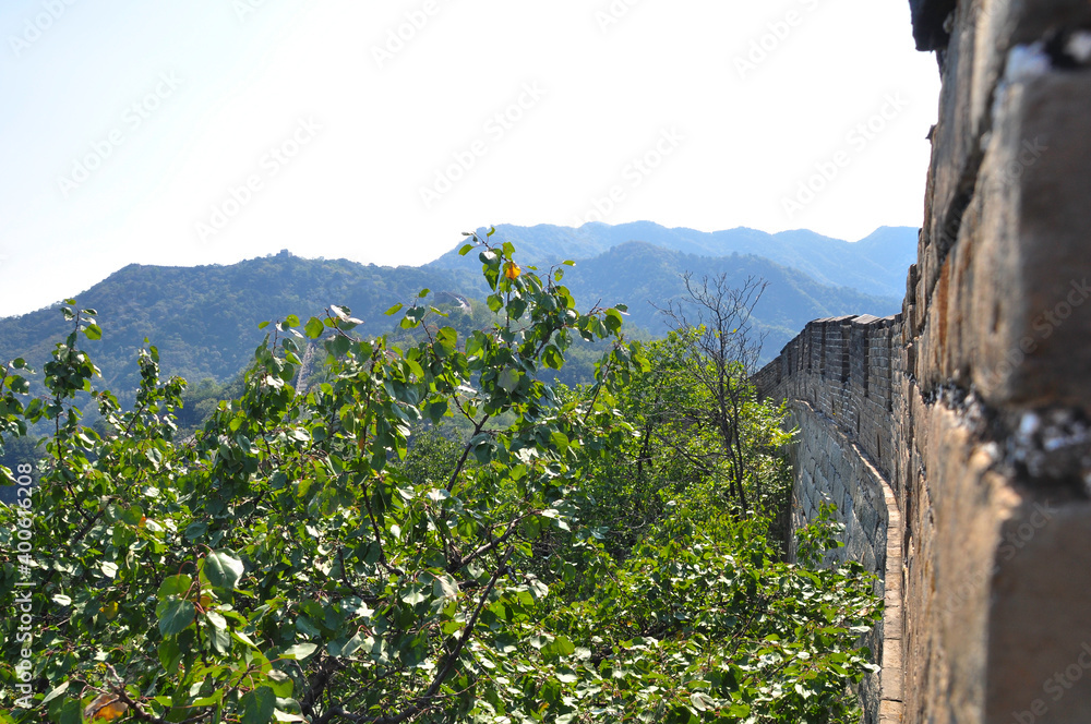 Panoramic view over trees beside the wall, from top of the majestic ...
