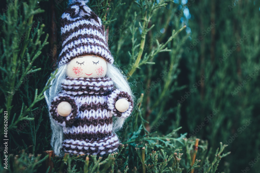 Duendes adorables e invernales en la naturaleza Stock Photo | Adobe Stock