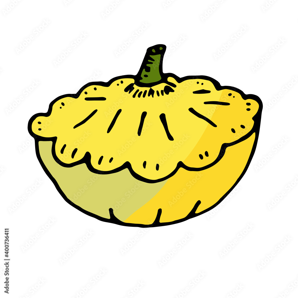 One yellow squash in doodle style isolated on white background. Vector ...