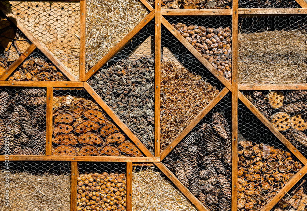 Insect Hotel With Compartments As Shelter For Animals To Improve ...