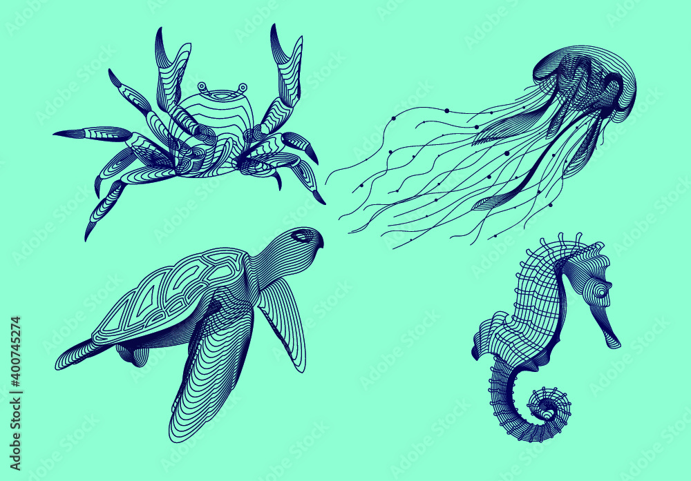 Set marine graphic animals. Vector illustration. The crab, sea horse ...