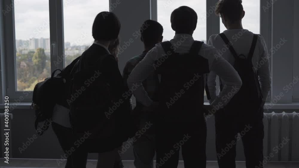 Vidéo Stock Back view of group of teenage classmates standing in school ...