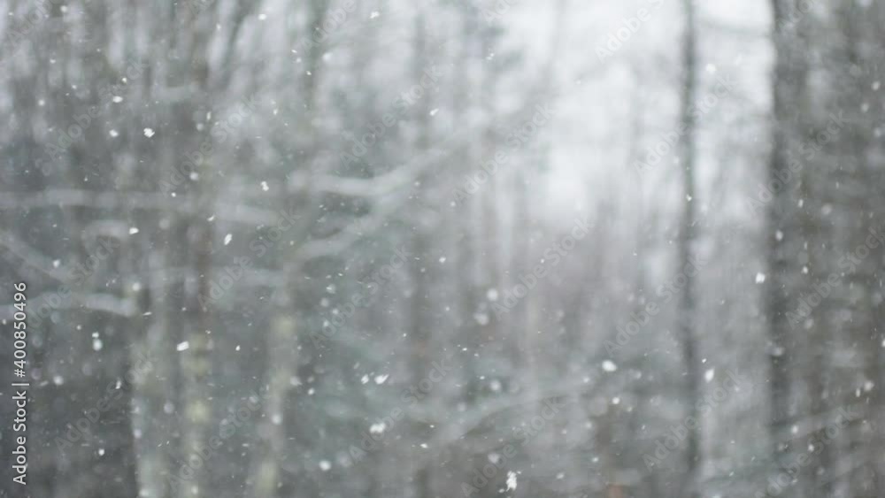 Slow motion video of snowfall in the foreground with a blurry forest in ...