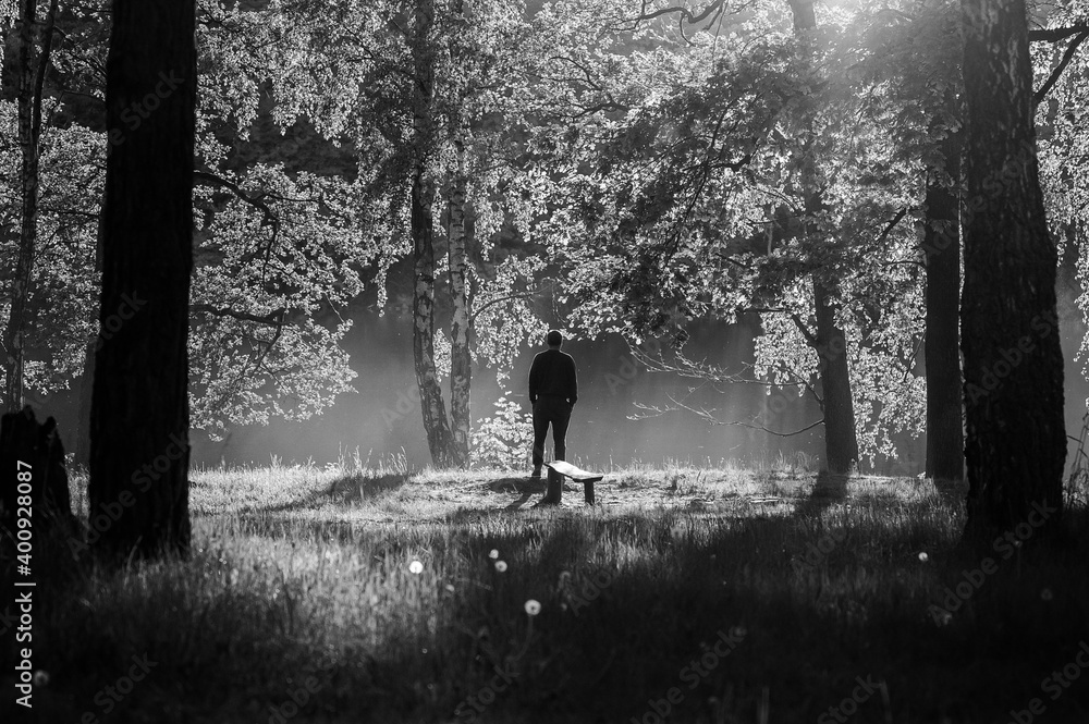 Foto de Drewniana ławeczka i postać stojąca obok wśród drzew na ...