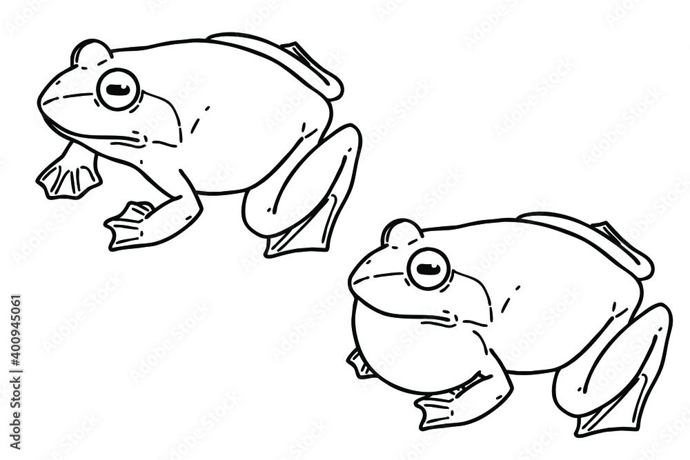 Frogs. Vector line art illustrations set. Stock Vector | Adobe Stock