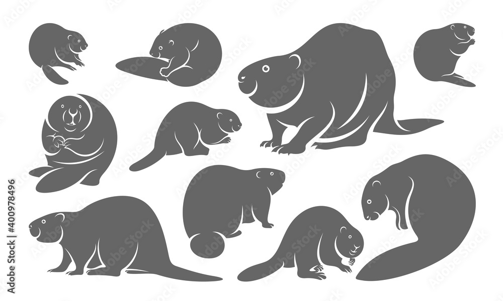 Set of Beaver logo vector, Creative Beaver logo design concepts ...