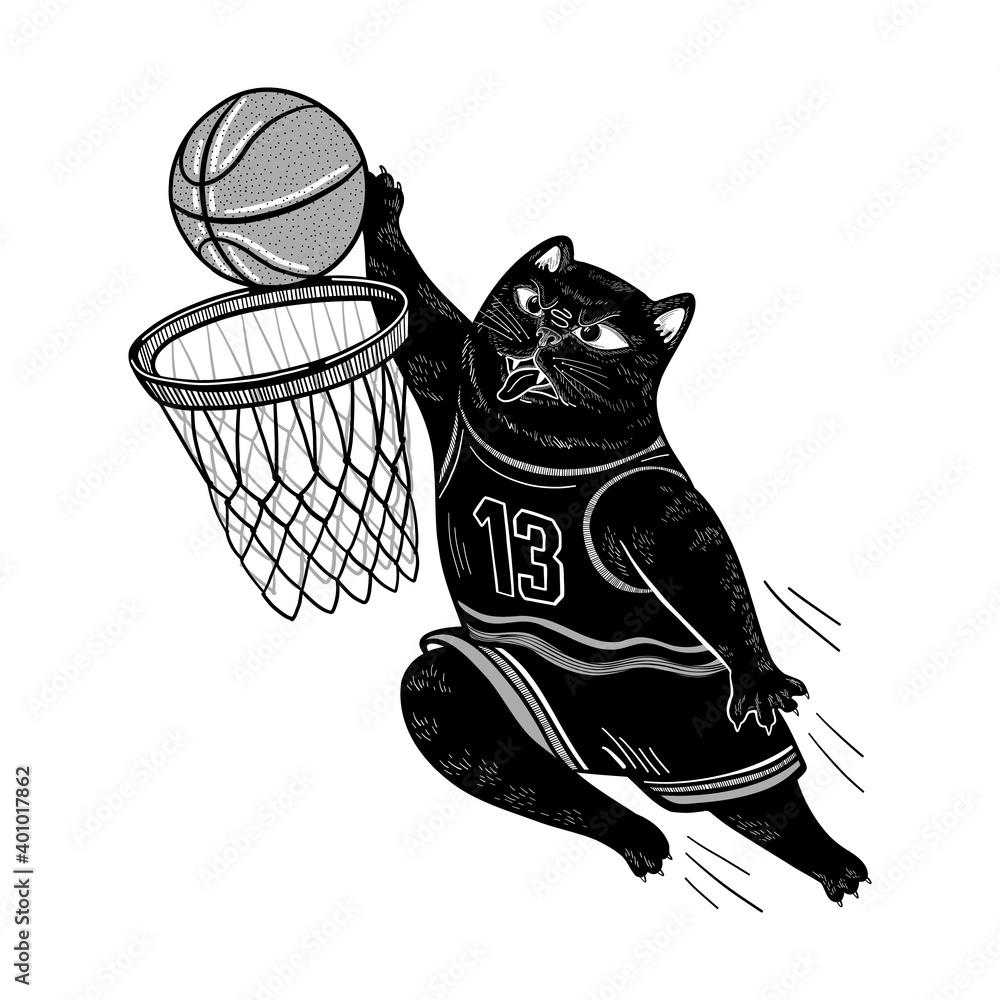 Vector black cat playing basketball. The cat throws the ball into the ...
