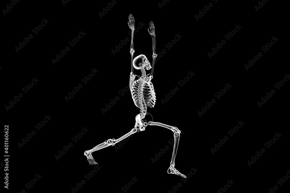 Anatomy of Warrior 1 pose, or Virabhadrasana 1 Stock Illustration ...