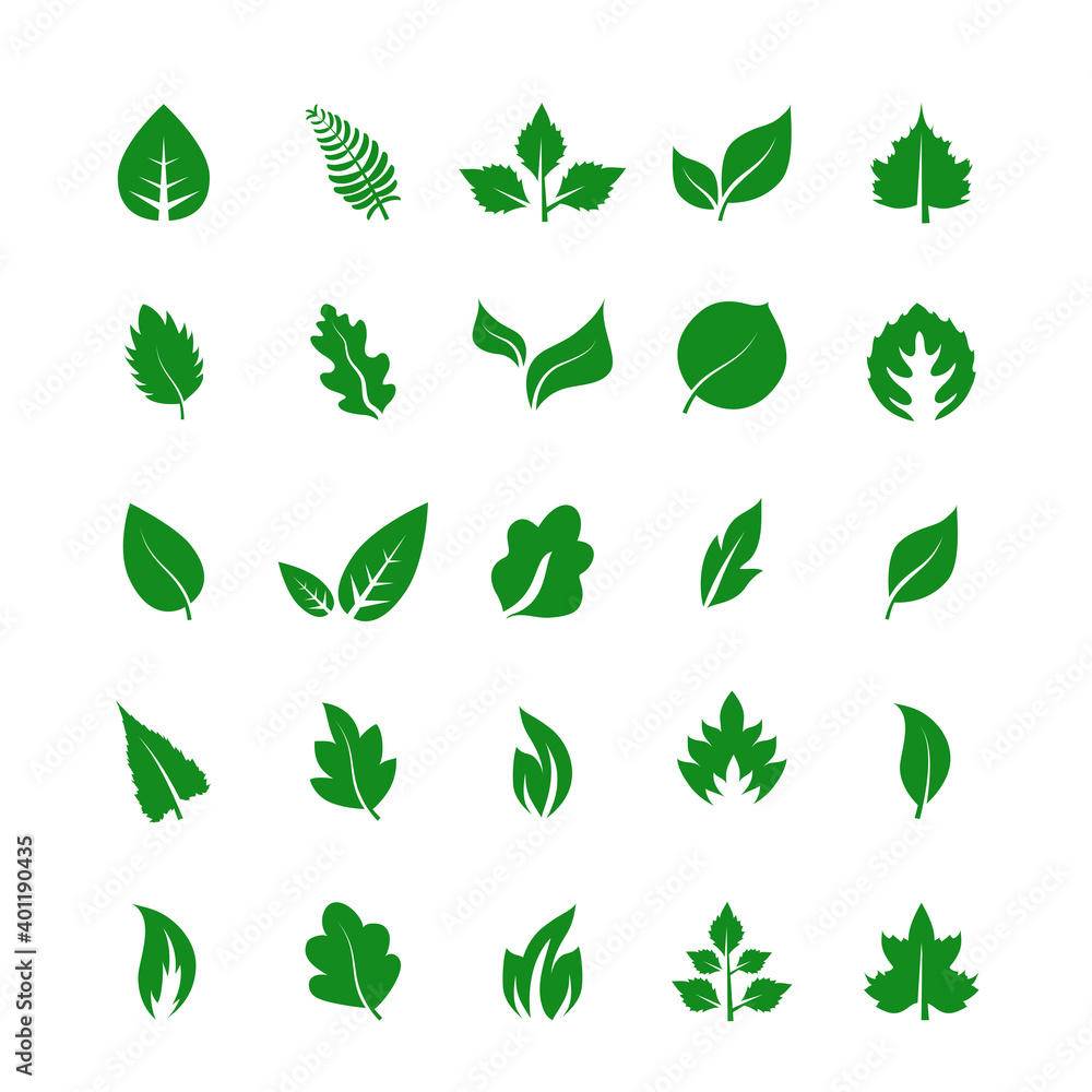 Leaf icon set isolated on white background. Collection of leaf icons ...