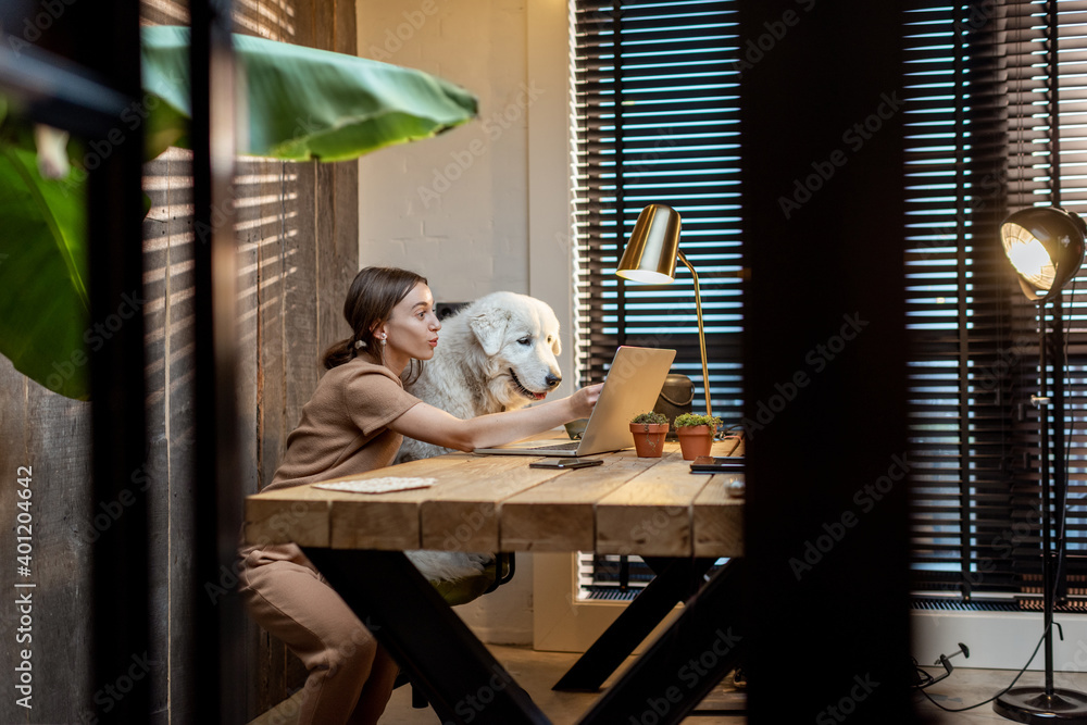 Foto de Young woman with a cute white dog working on a laptop in the ...