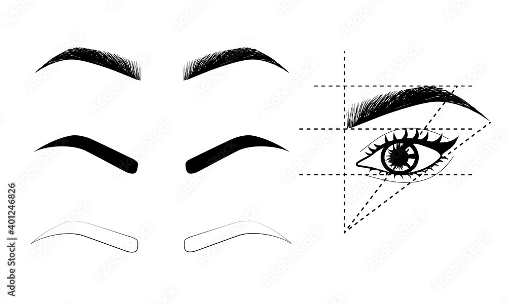 Types of eyebrows. Eyebrow architecture. Vector eyebrows, icons Stock ...