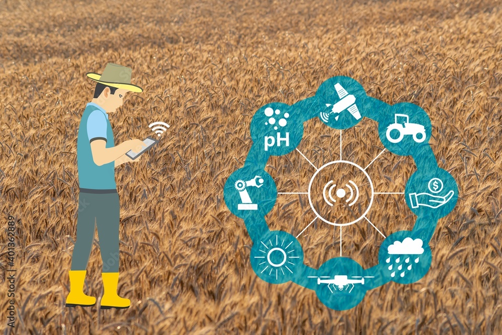 Smart Agriculture concept. production with modern farming technologies ...