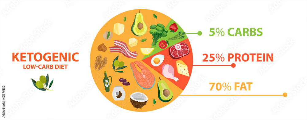 Keto diet food diagram circle chart. Ketogenic info graphic pie of ...