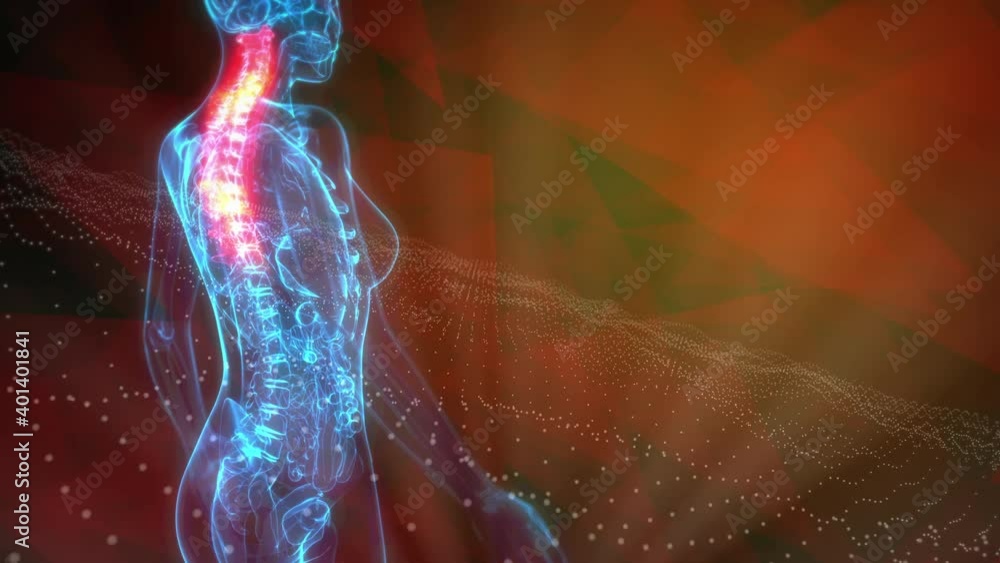 cg medical 3D animation, Cervical, top part of spine on x ray body ...