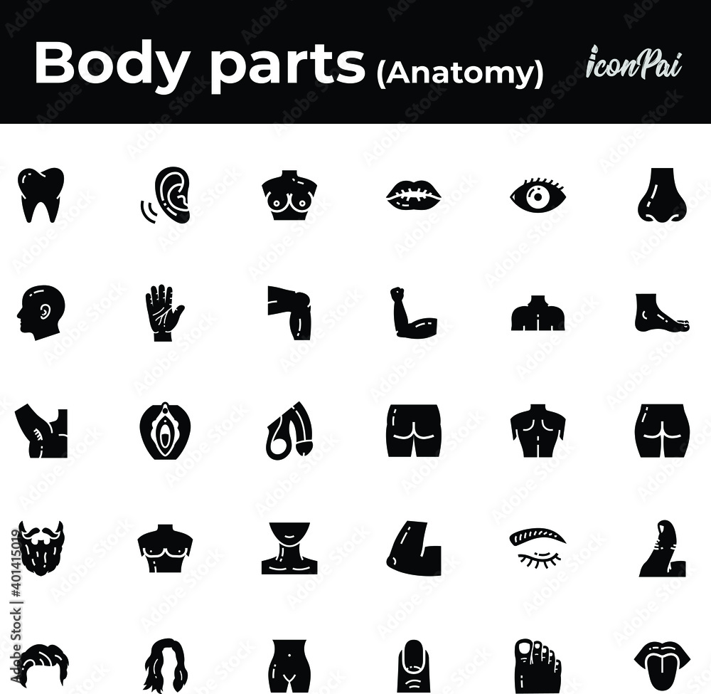 Human body parts anatomy Stock Vector | Adobe Stock