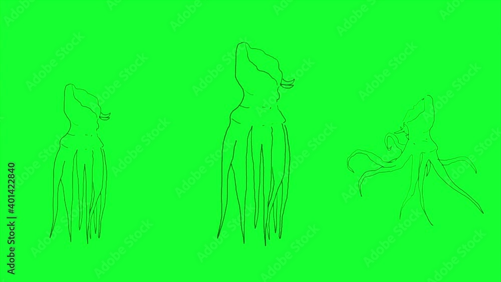 Hand Drawn Animation of Monster Octopuses on green screen Stock Video ...