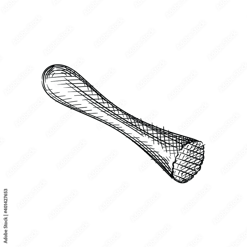 Hand drawn sketch of muddler on a white background. Black and white ...