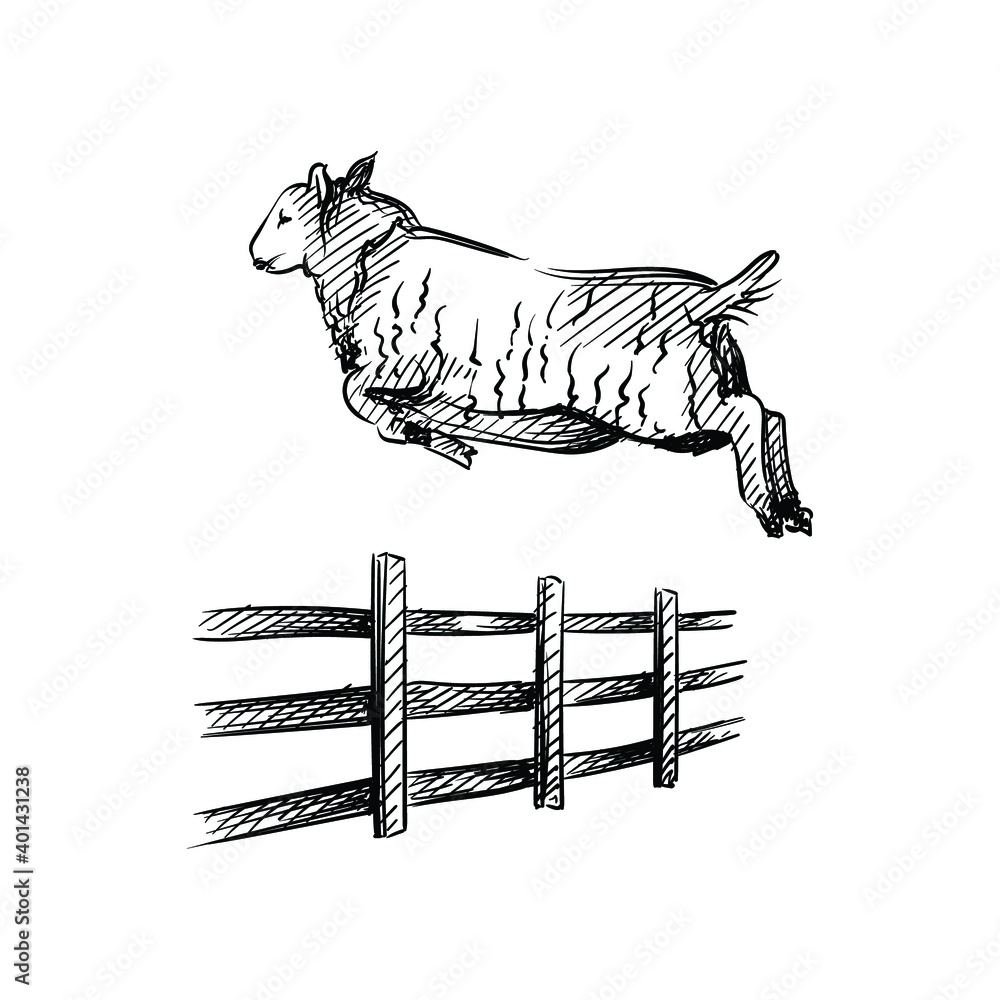 Sheep Jumping Drawing at Hee Slocum blog