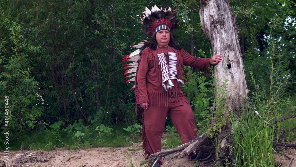 Old Native American Indians stands by a dry tree. Background of the ...