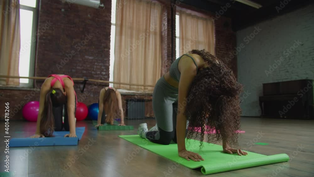 Group of elegant multiracial diverse sporty fitness females practicing ...