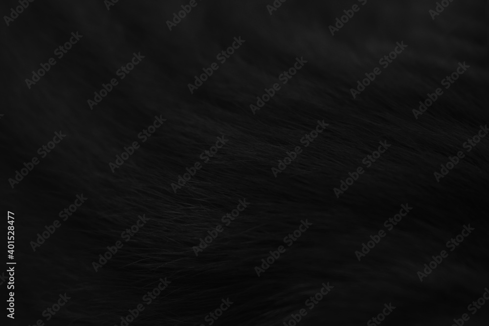 Black cat fur texture background. Stock Photo | Adobe Stock
