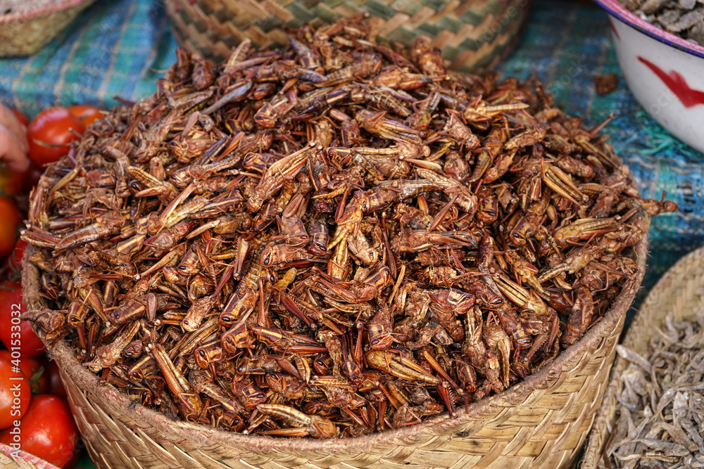 Fried Locust