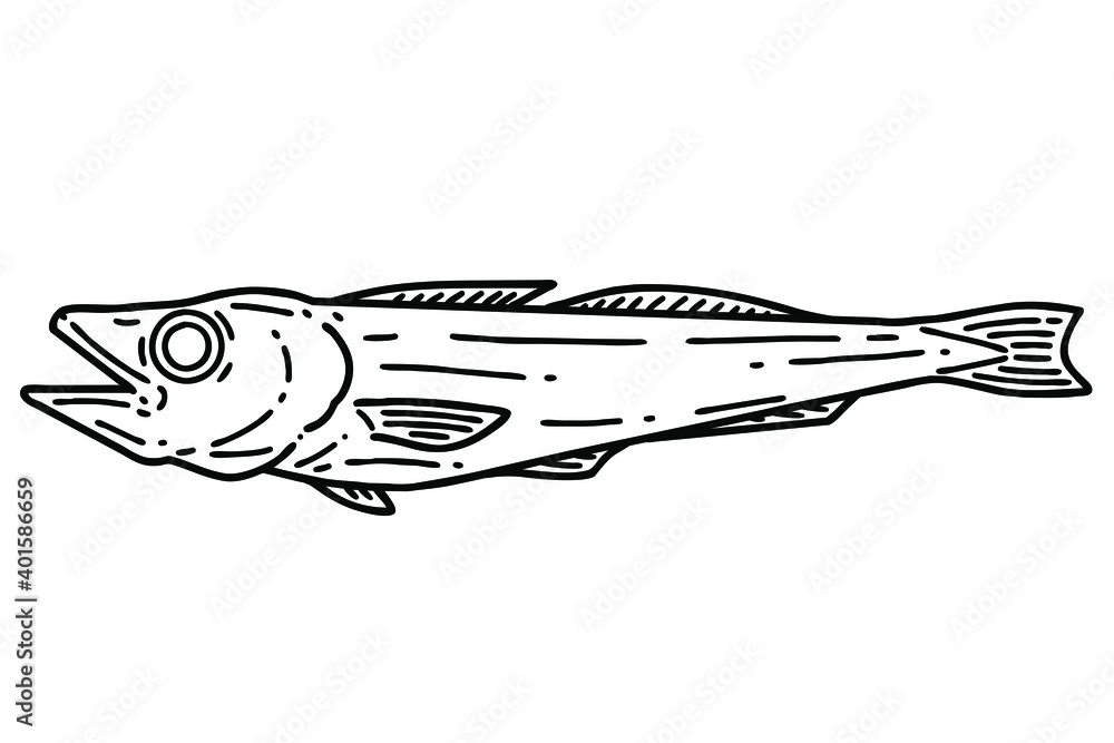 Dried pollack. Vector line art illustration. Stock 벡터 | Adobe Stock