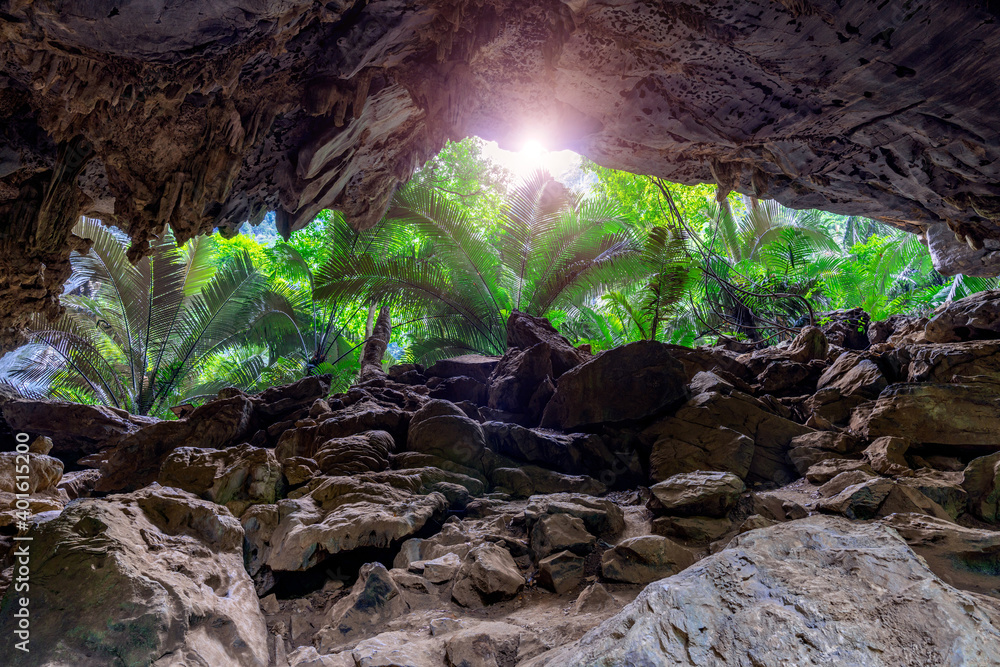 The primeval forest in the middle of a collapsing valley has become a ...