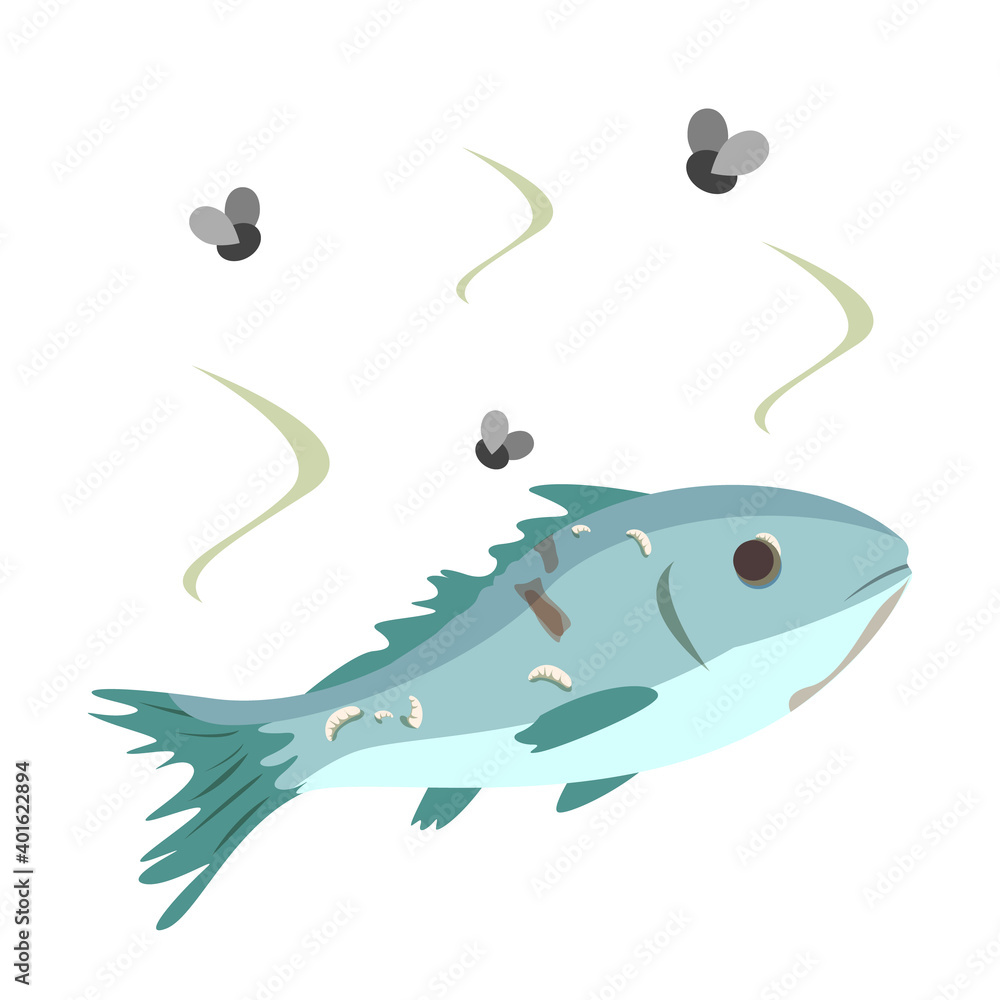 Rotten fish vector isolated. Damaged product, danger for health ...