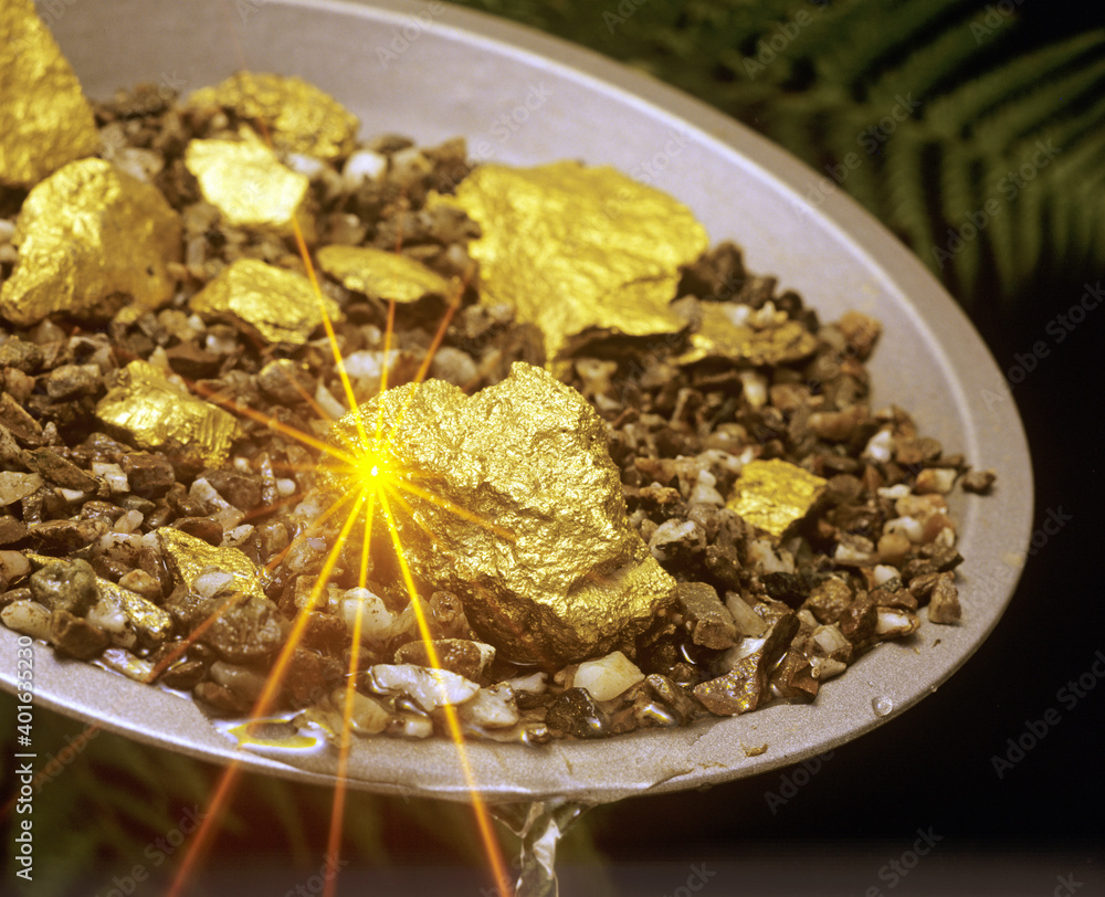 Gold prospecting Stock Photo | Adobe Stock
