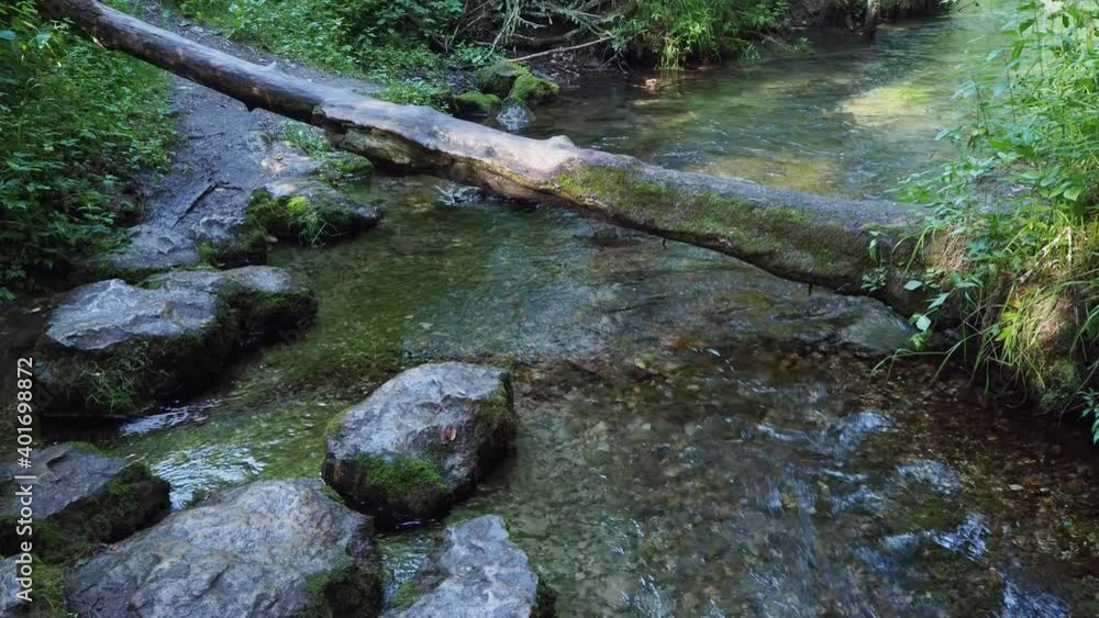 Stockvideo Rocky bottom of the spring with crystal clear water. The ...