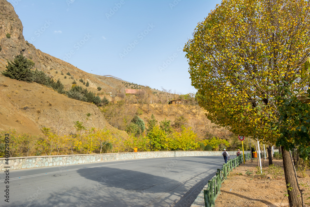 Trees with golden leave on the roadside at the entrance to the Tochal ...
