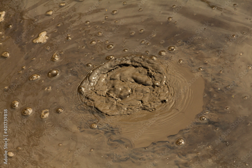 Boiling mud pool in Wai-O-Tapu thermal wonderland, Rotorua, North ...