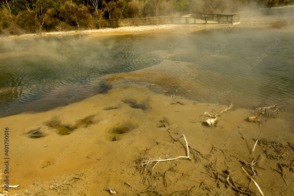 Geothermal lake with boiling mud pool in Wai-O-Tapu thermal wonderland ...