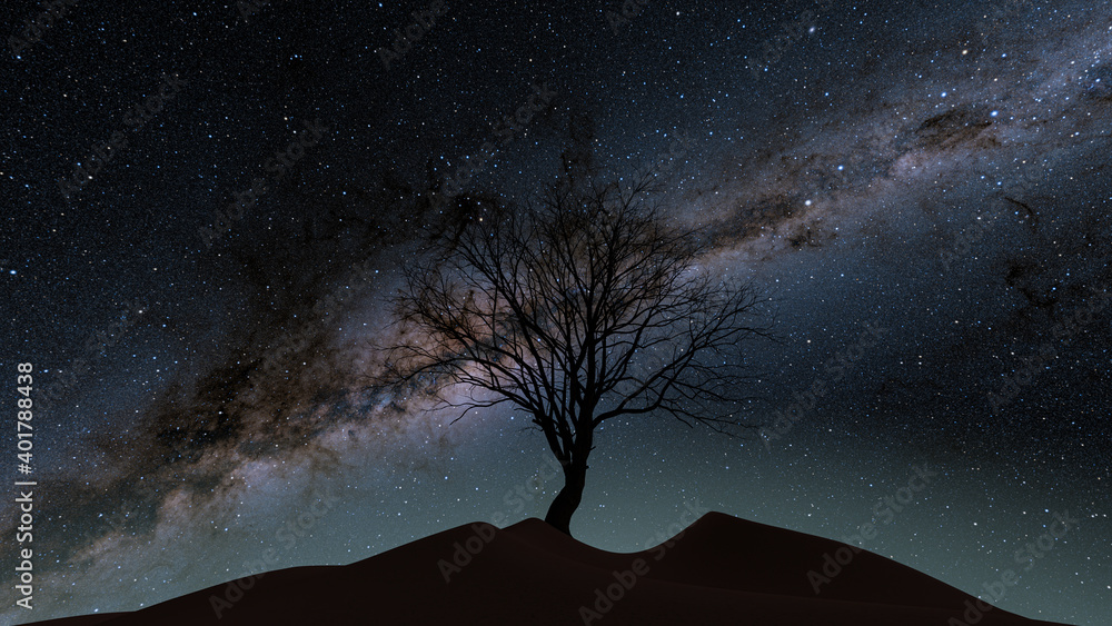 Alone tree and Milky Way at night.Landscape with old tree, bright milky ...