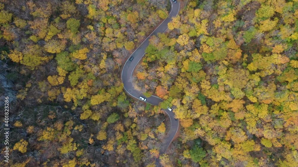 Birds Eye Aerial View of Traffic on Curvy Road in the Middle of Forest ...