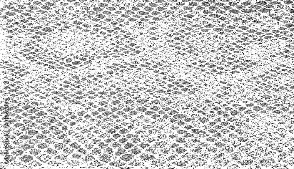 Snakeskin pattern imitation. Lines and spots structural texture. Cool ...