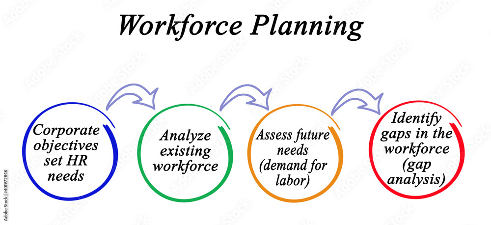 Four Components of Workforce Planning Stock Illustration | Adobe Stock