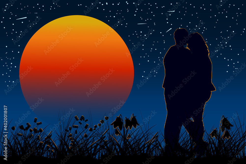 Loving couple enamored on the night sky with shining stars. Couple in ...