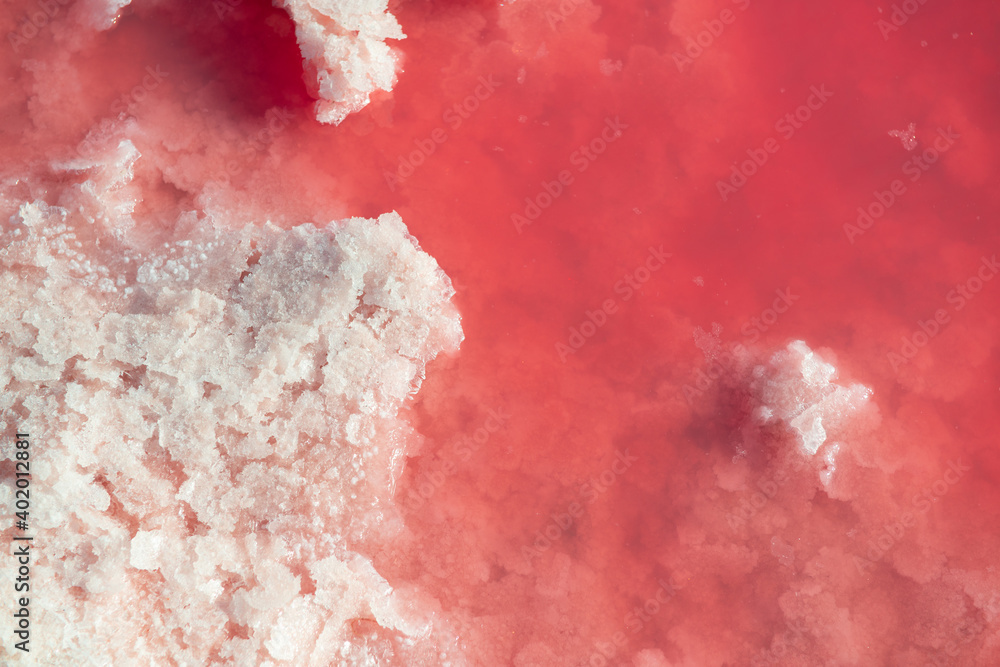 Foto Stock Extremely salty pink lake with crystals of salt, colored by ...