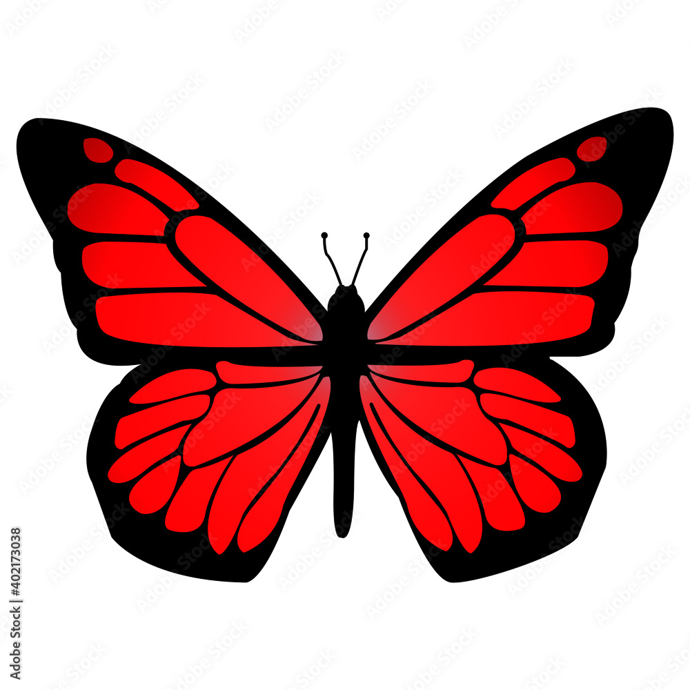red butterfly isolated on white Stock Vector | Adobe Stock