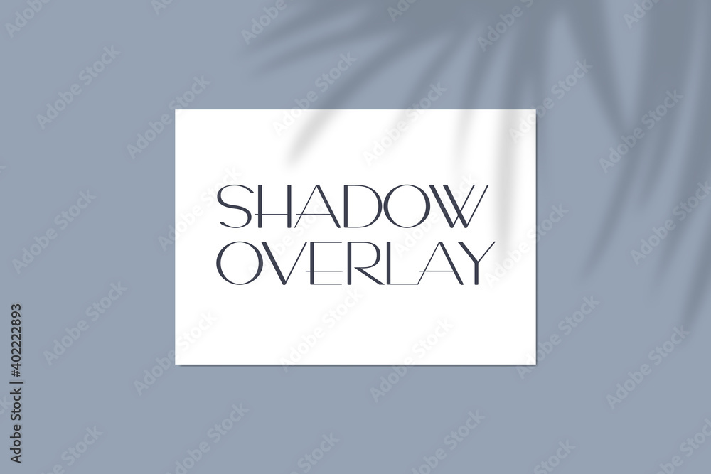 Vector illustration of a4 paper mockup with realistic tropical shadow ...