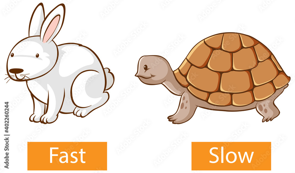 Opposite adjectives words with fast and slow Stock Vector | Adobe Stock