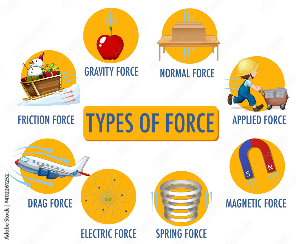 Types of force for children physics educational poster Stock Vector ...
