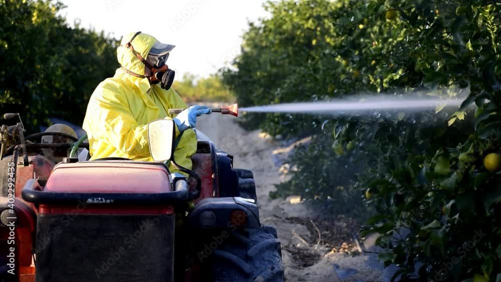 Spray ecological pesticide, pest, pesticides. Farmer fumigate in ...